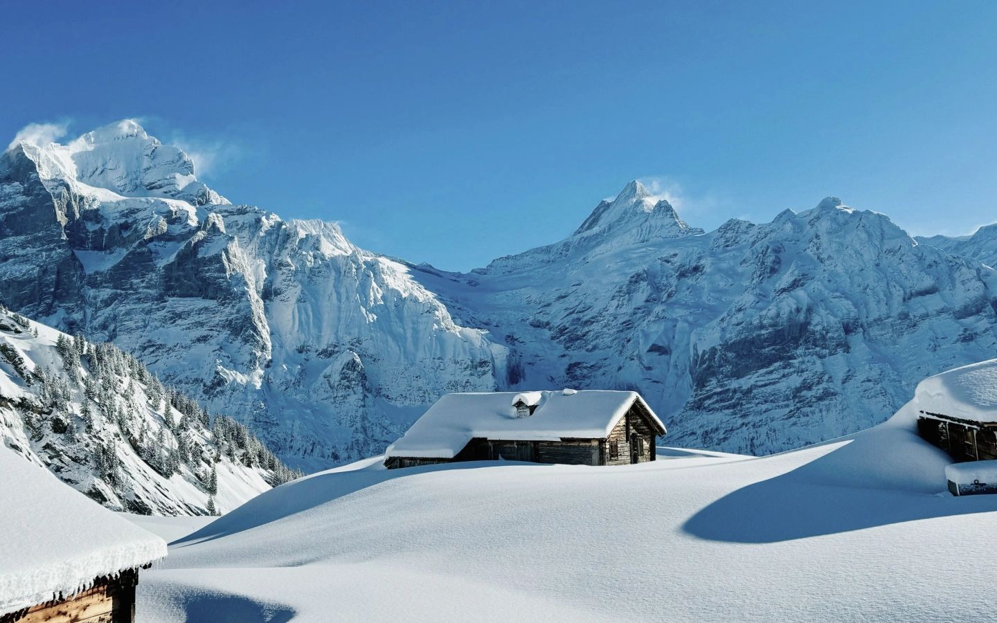 The best off-piste runs in Grindelwald, shared by a local mountain ...